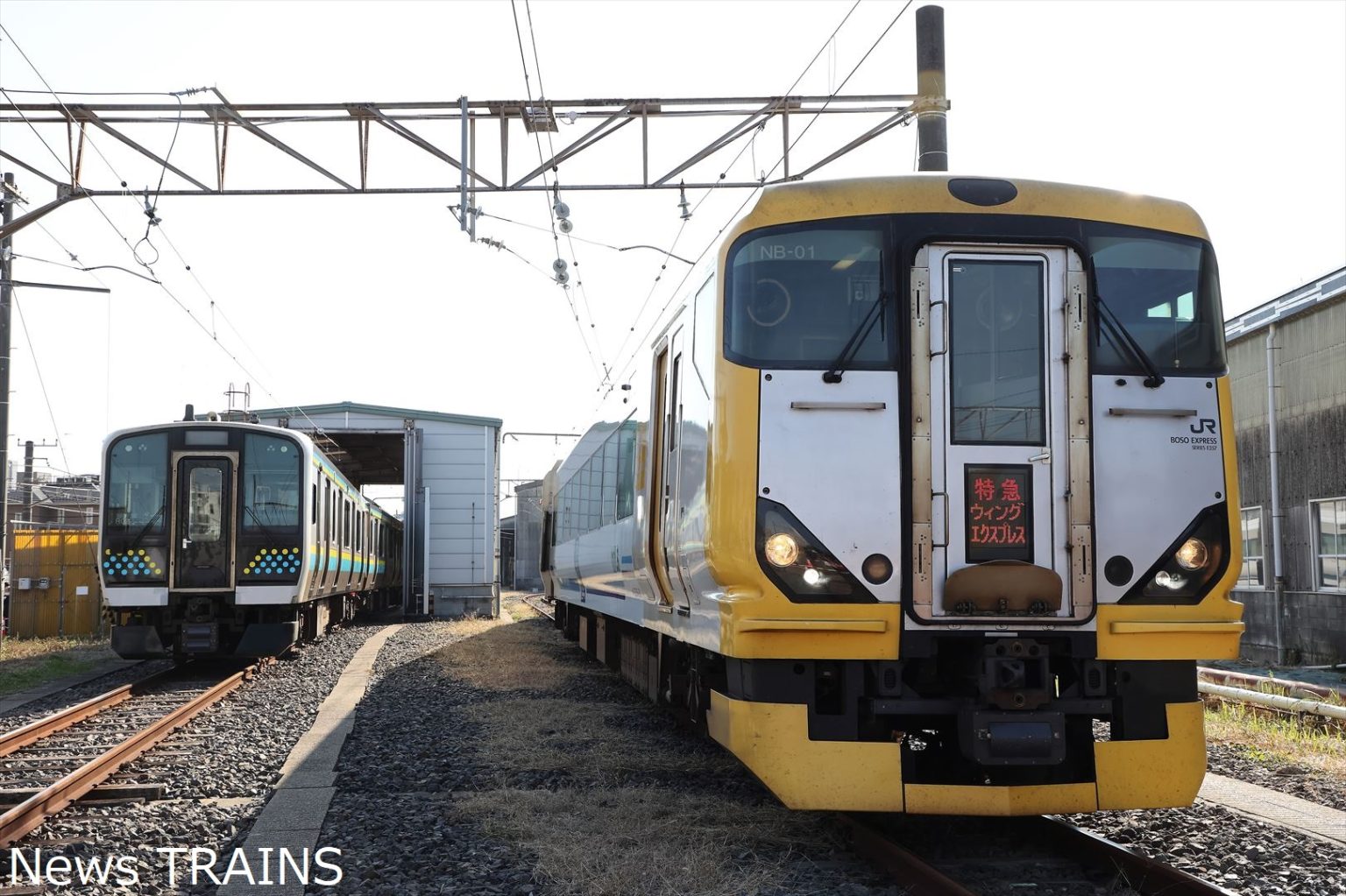 【東日本旅客鉄道】255系、E257系の展示も！幕張車両センター一般公開イベント「マリフェス2025」は11月！ | 鉄道ニュース News TRAINS ニューストレインズ