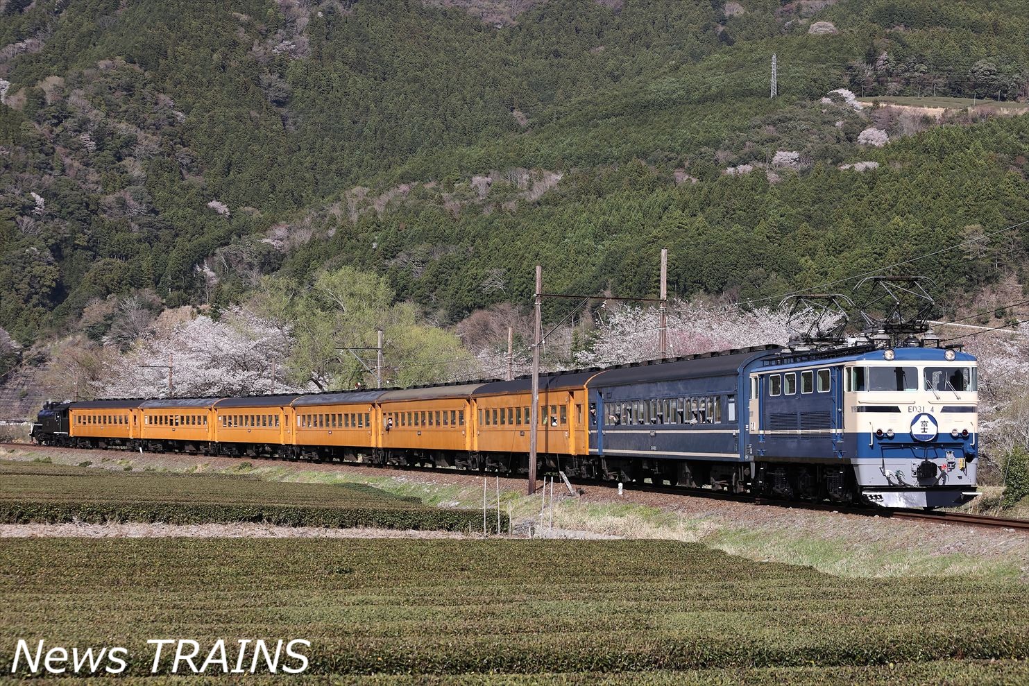 大井川鐵道、国鉄色を再現した電気機関車「E31形4号機」をお披露目＜Photo report＞ | 鉄道ニュース News TRAINS ニューストレインズ